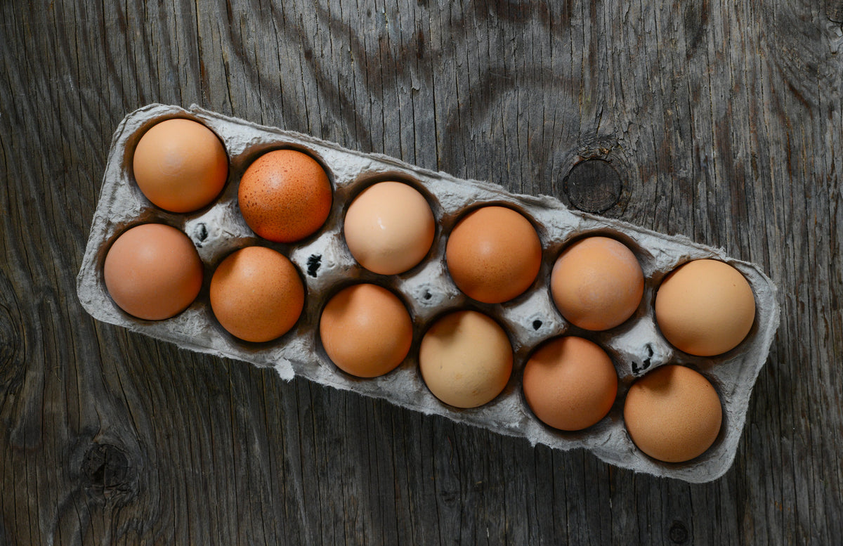 Add On: One dozen fresh pasture-raised eggs – Pasture Provisions Co